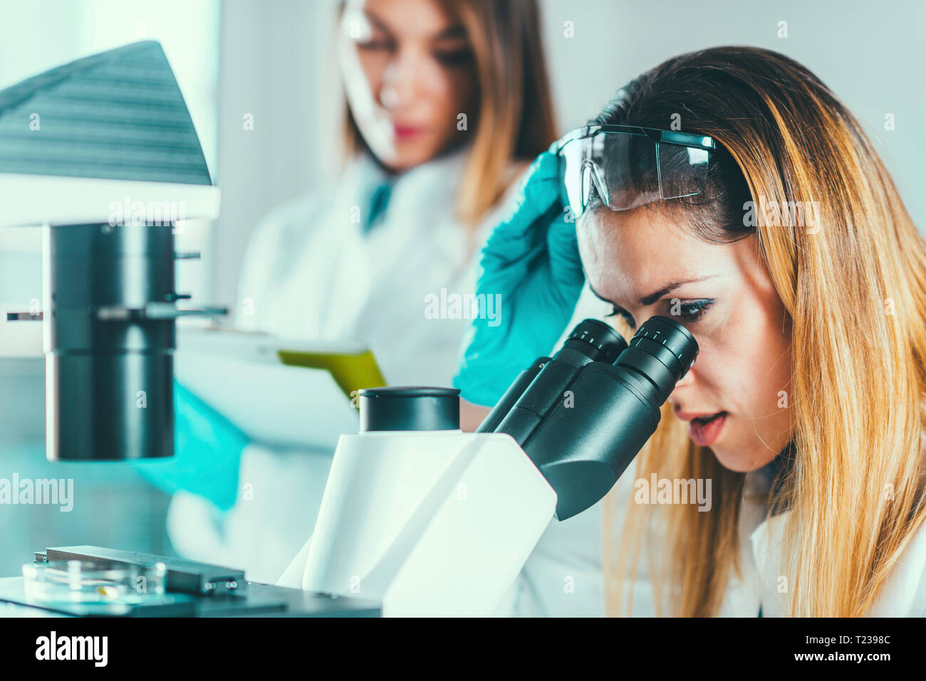 Female biotechnology scientists working in laboratory Stock Photo - Alamy