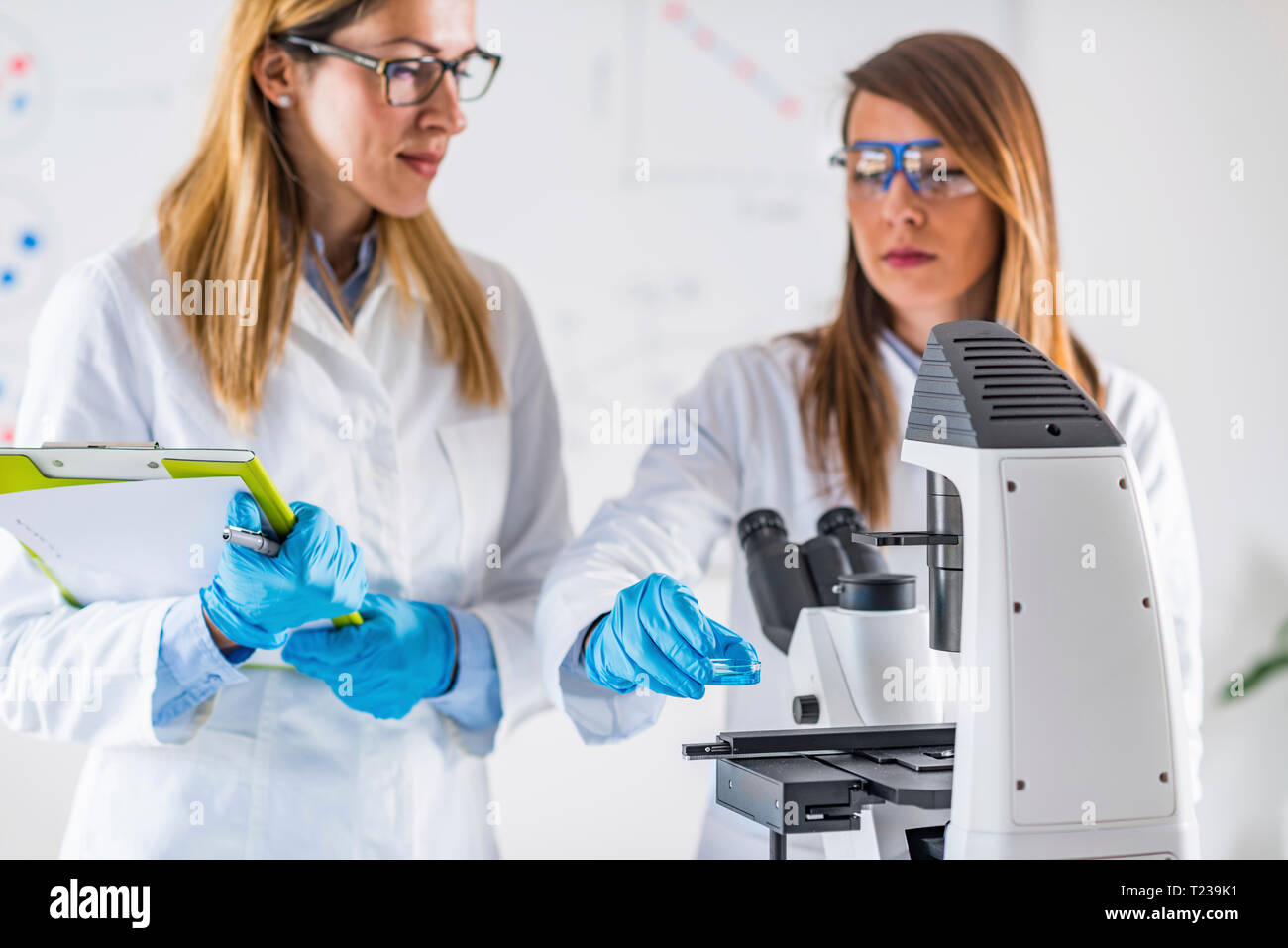 Female scientists working in laboratory hi-res stock photography and ...