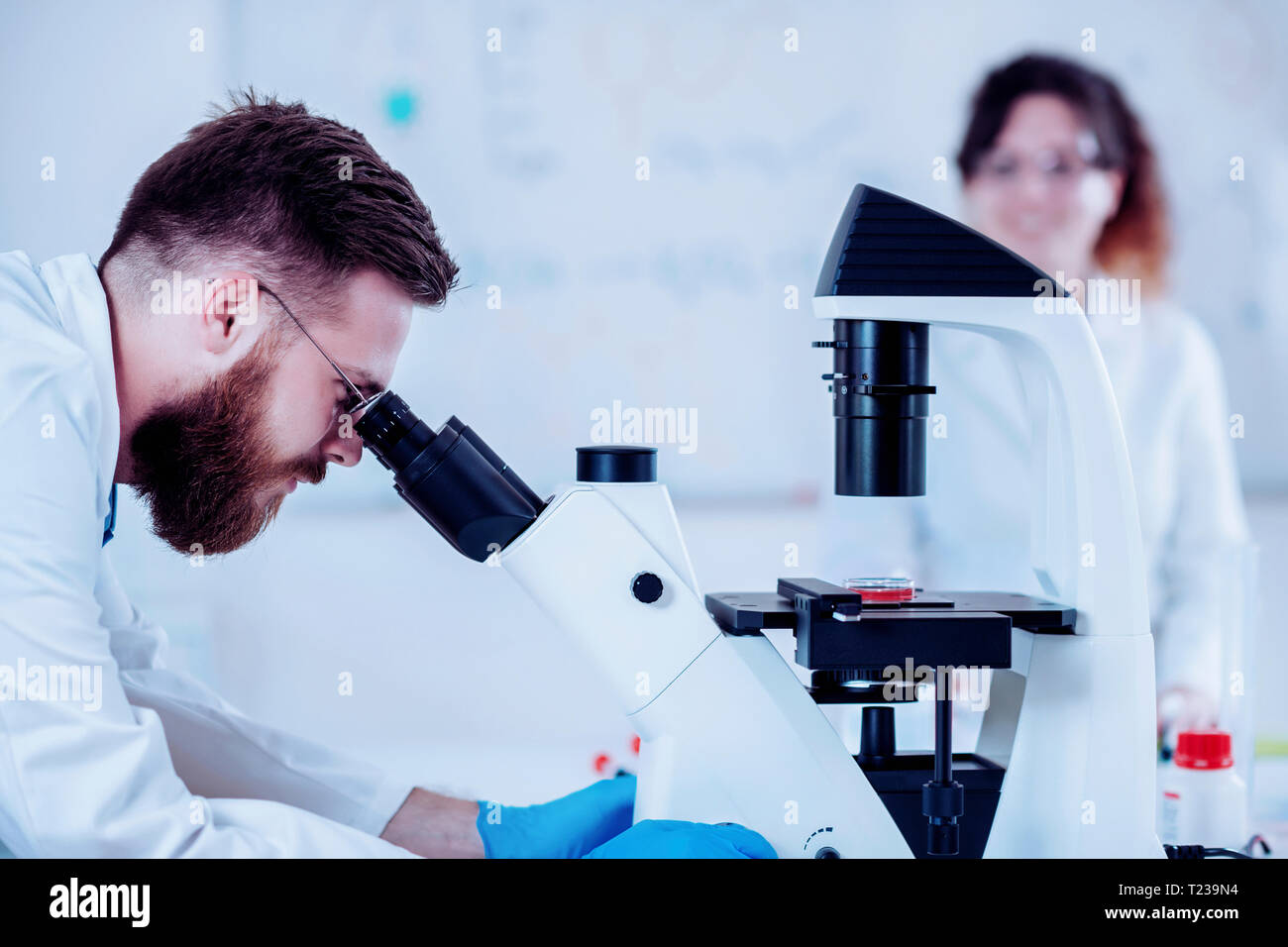Male scientist working samples hi-res stock photography and images - Alamy