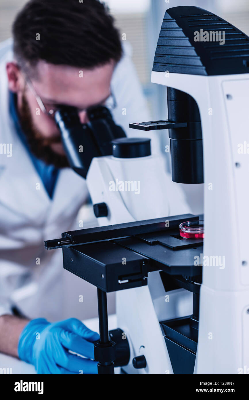 Scientist Analysing Samples High Resolution Stock Photography and ...