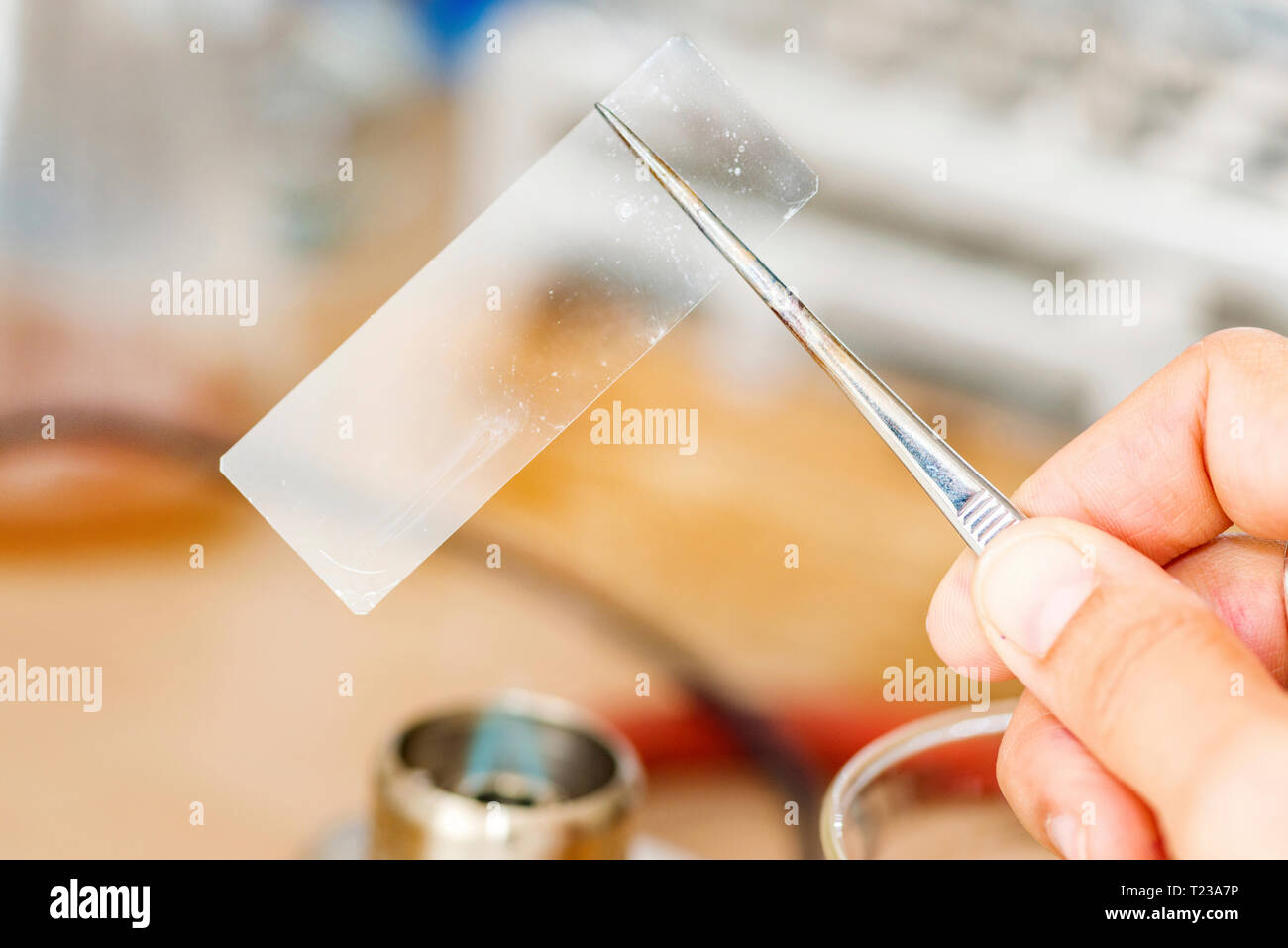 Laboratory work, holding microscope slide over flame Stock Photo - Alamy