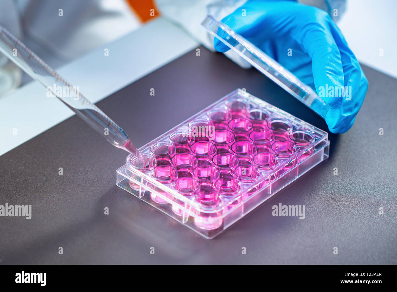 Biotechnology. Scientist working in biotech laboratory Stock Photo - Alamy
