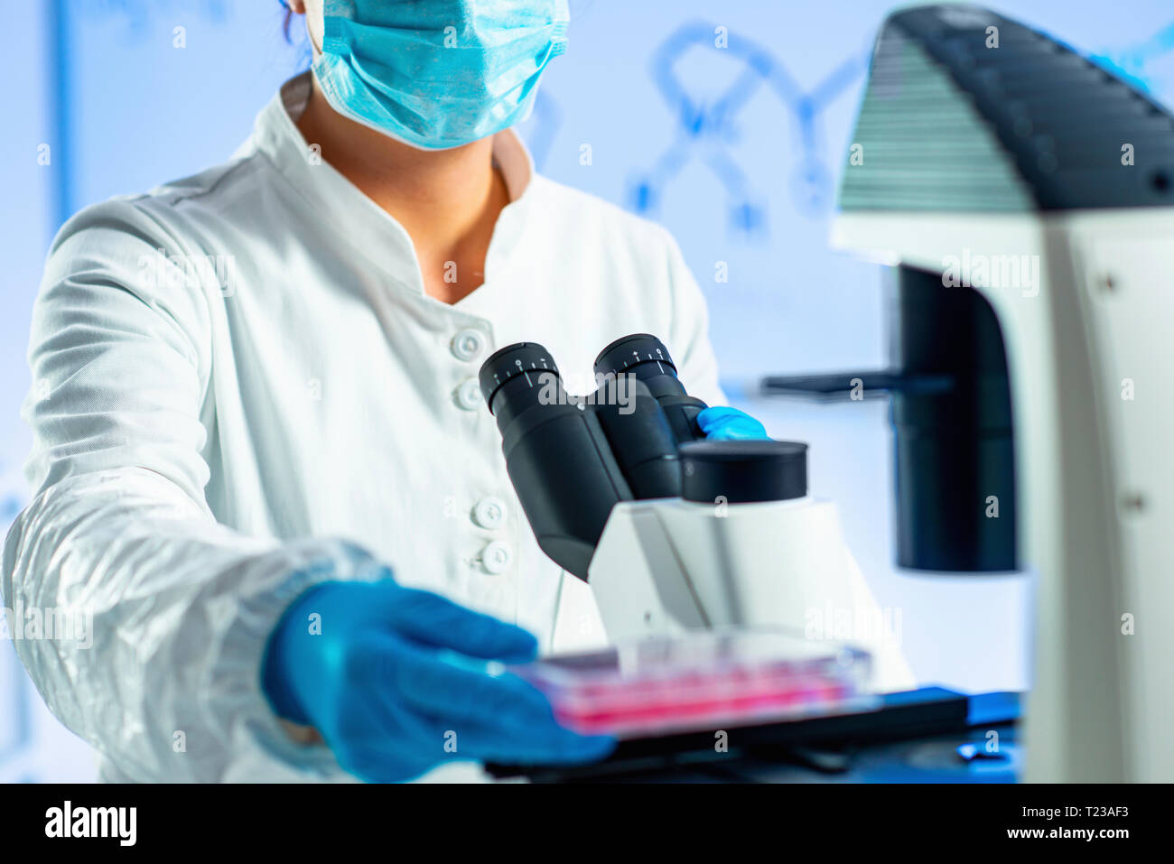 Biology laboratory, scientist working with cell culture Stock Photo - Alamy