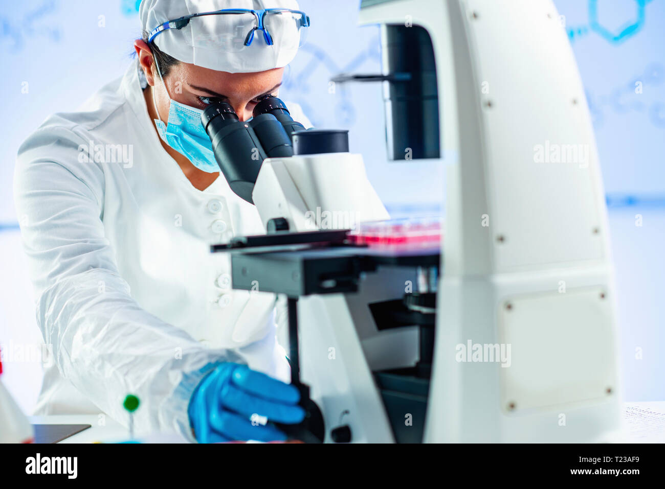 Biology researcher hi-res stock photography and images - Alamy