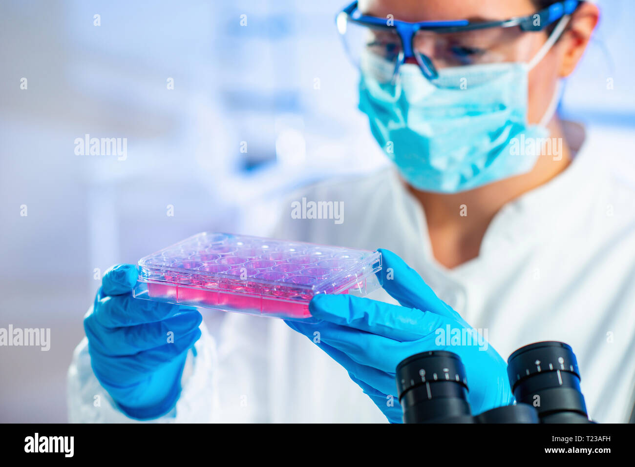 Stem cell researcher working in laboratory Stock Photo - Alamy