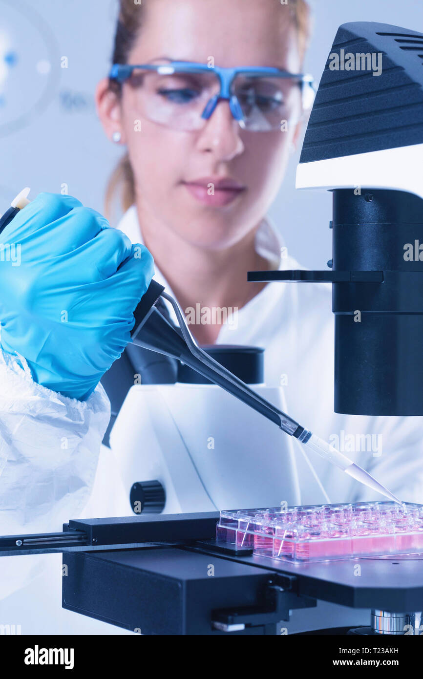 Female scientist with microscope, holding micropipette Stock Photo - Alamy