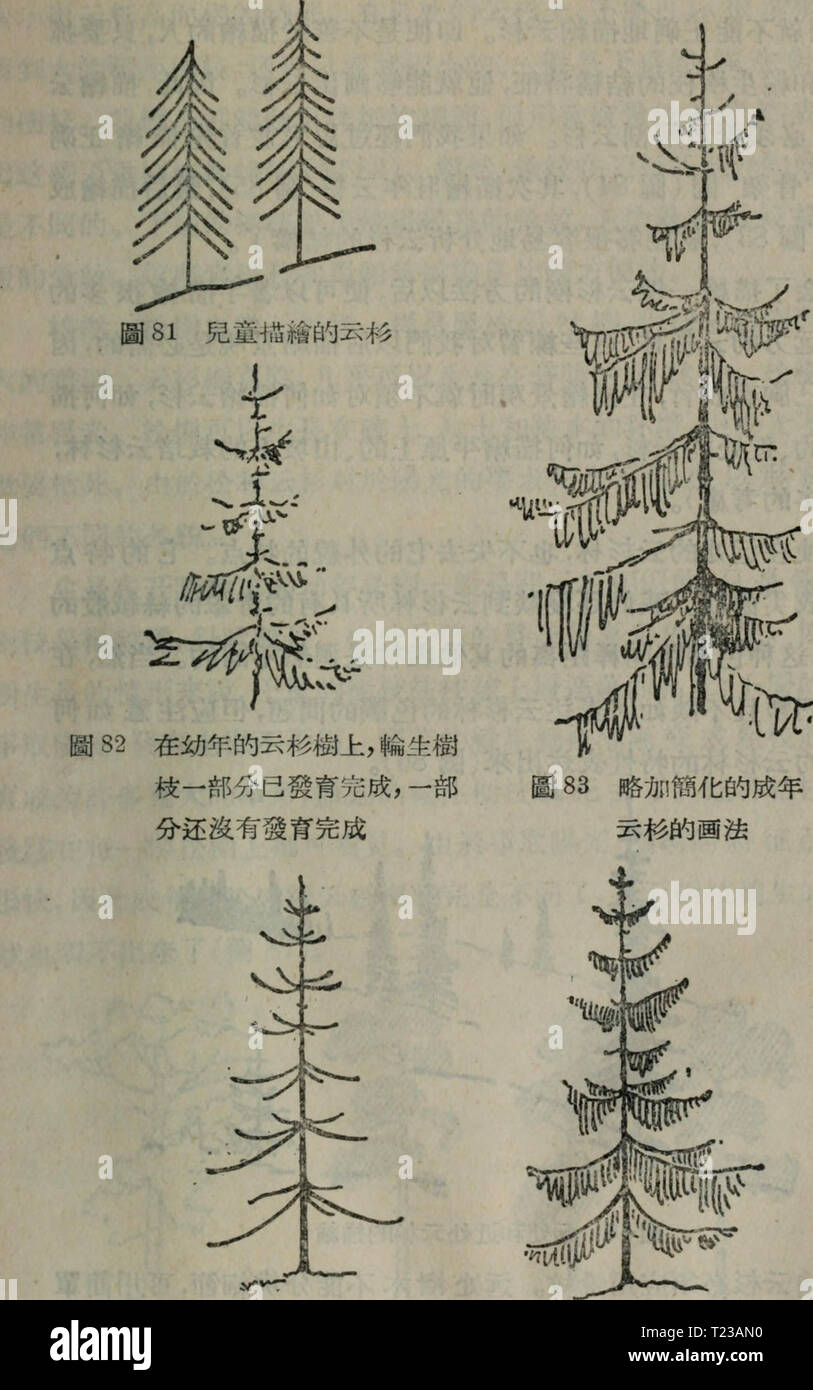 Archive image from page 58 of Physiology of tree crops; proceedings ...