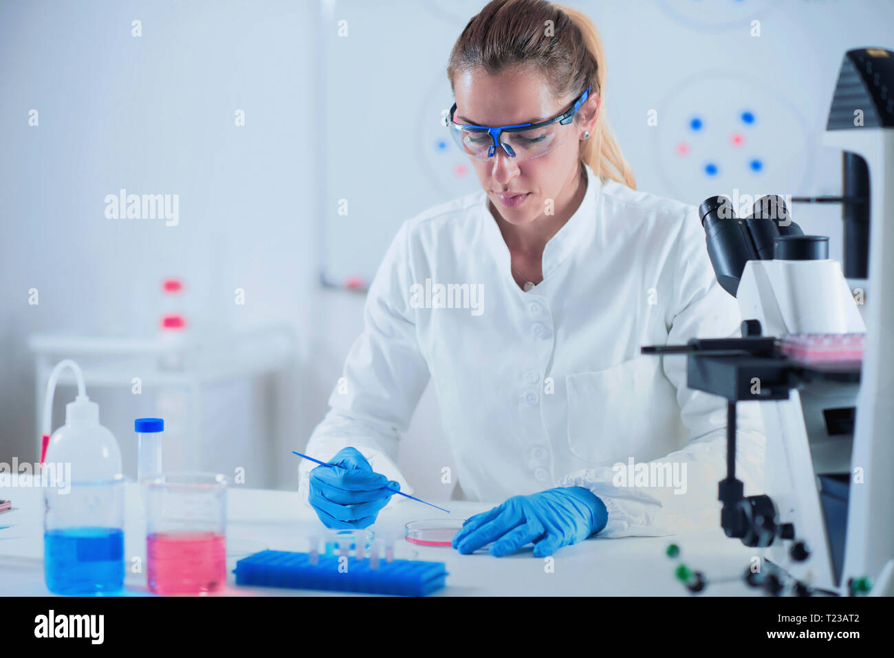Female science researcher working in laboratory Stock Photo - Alamy