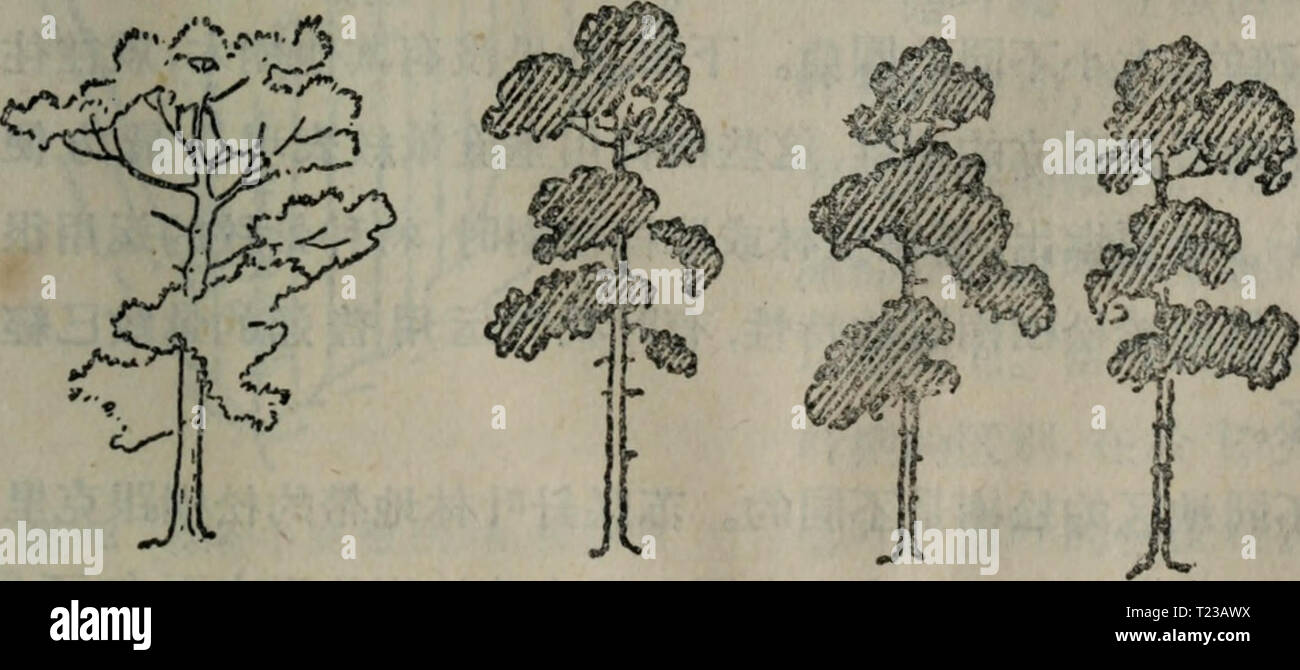 Archive image from page 60 of Physiology of tree crops; proceedings ...