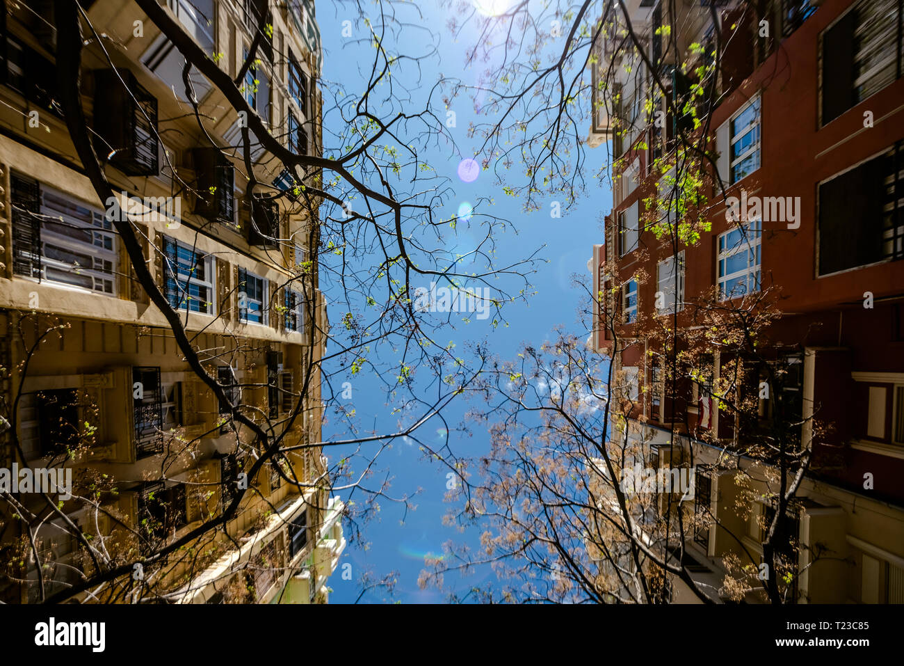 Symmetrical view of the facades of a street with old buildings in good ...