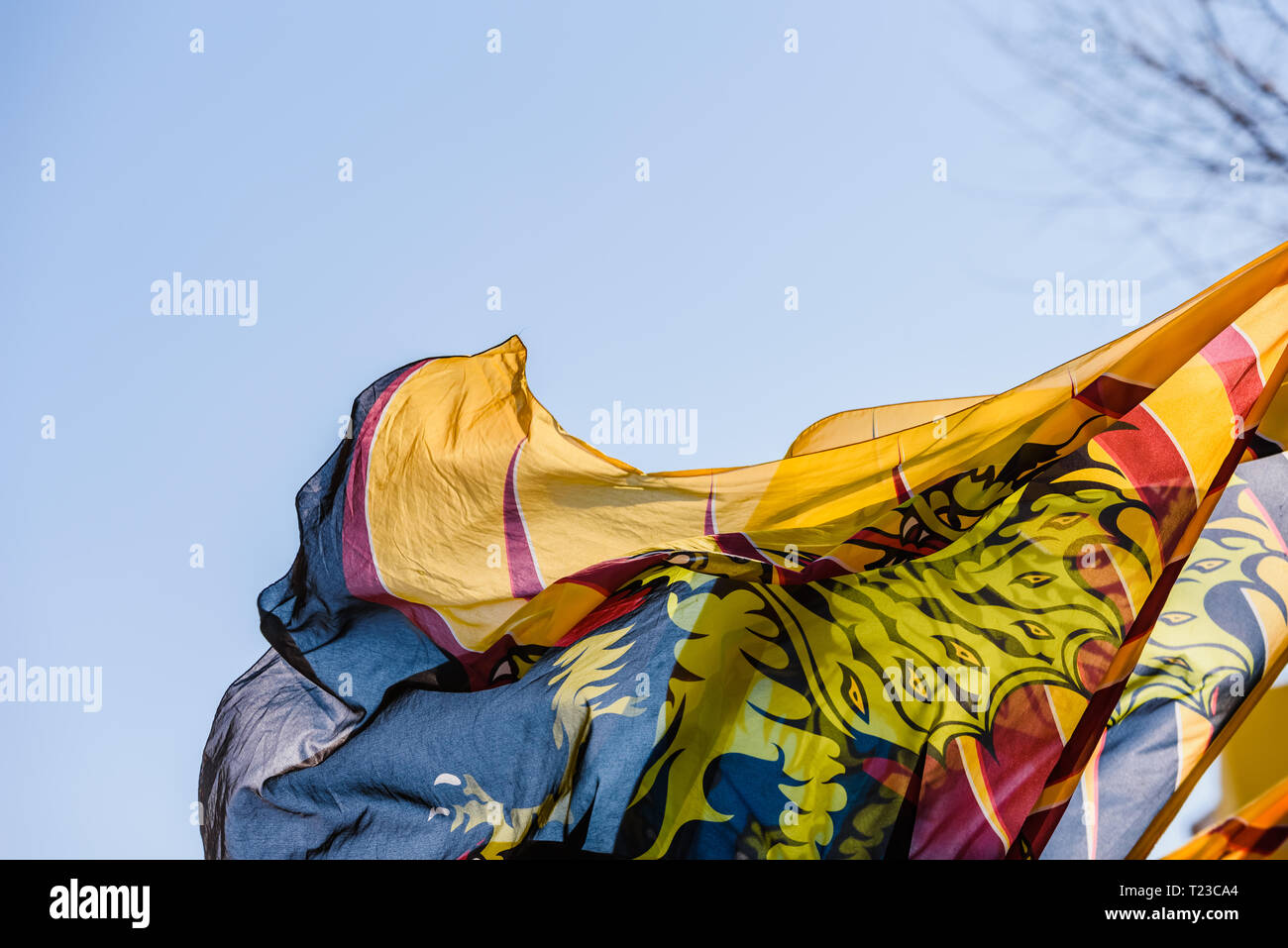 Traditional Italian dance of the flag-wavers Sbandieratori doing stunts ...