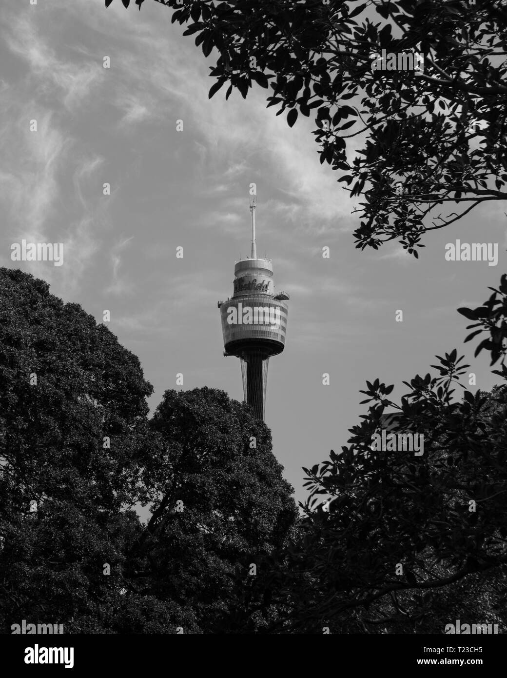 Centre Point Tower Stock Photo - Alamy