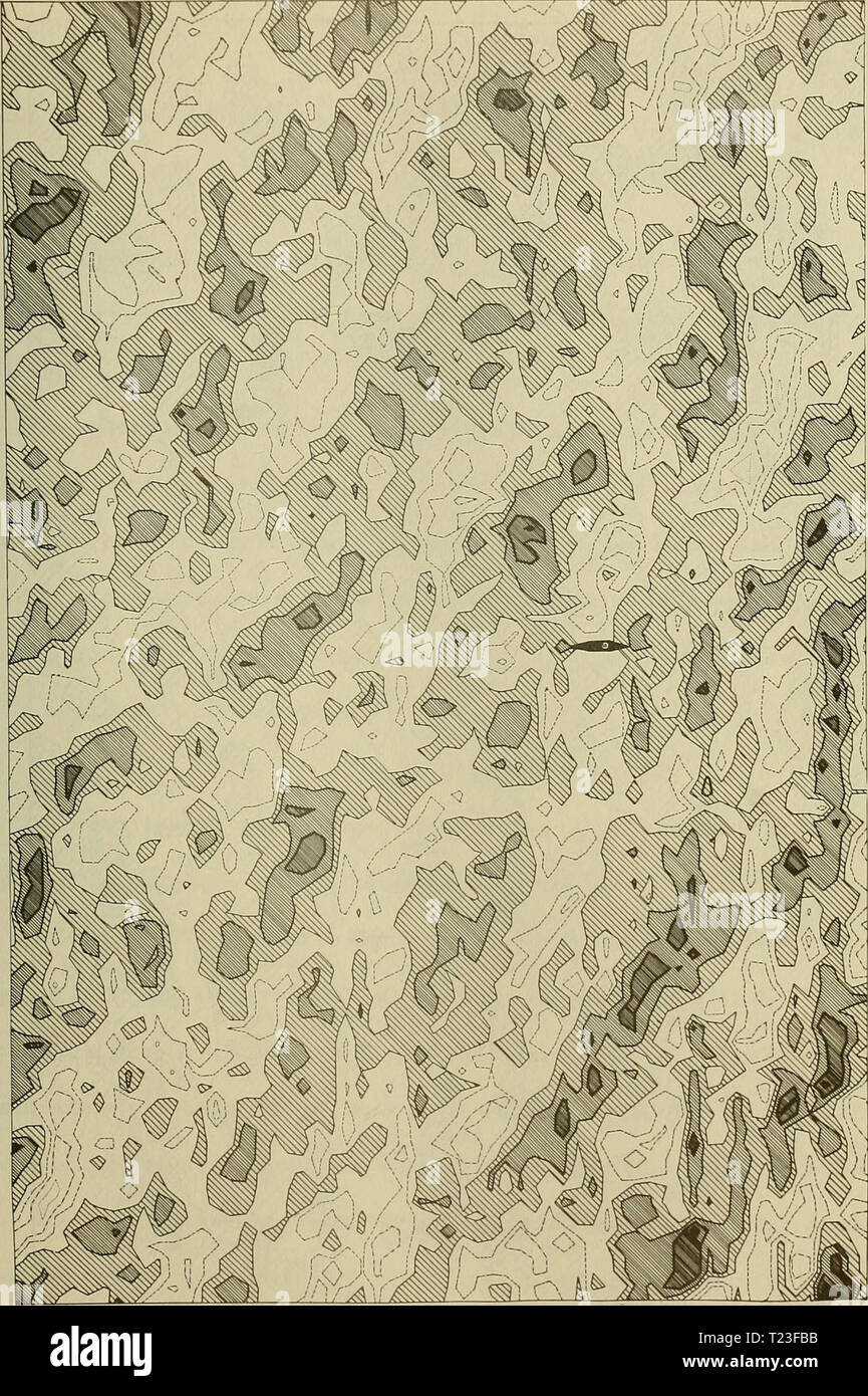 Archive image from page 166 of The directional spectrum of a Stock ...