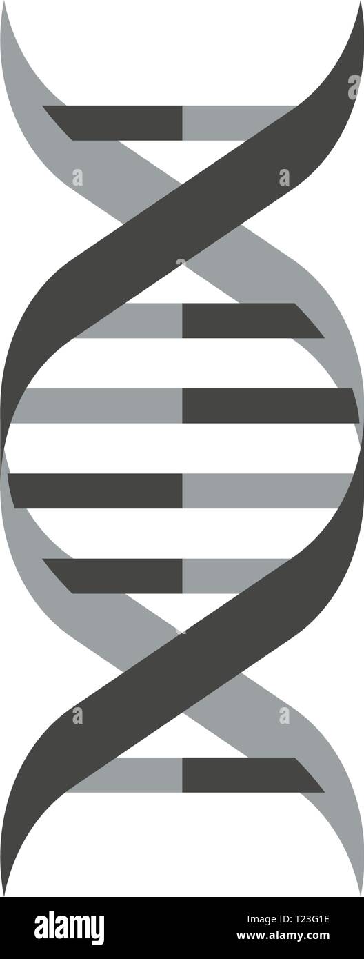 Isolated DNA helix symbol on white background. Sign illustration design ...