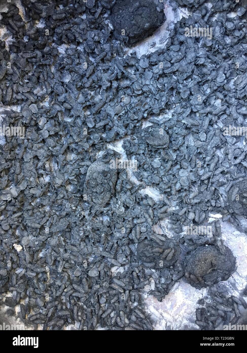 Burned dish hi-res stock photography and images - Alamy