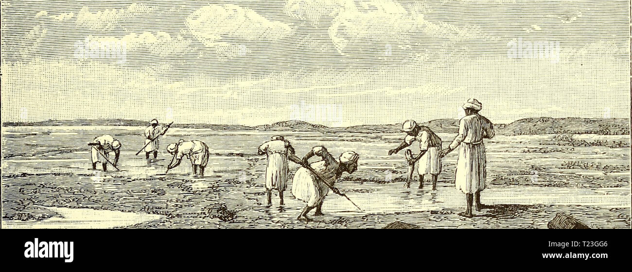 Slave hunting hi-res stock photography and images - Alamy