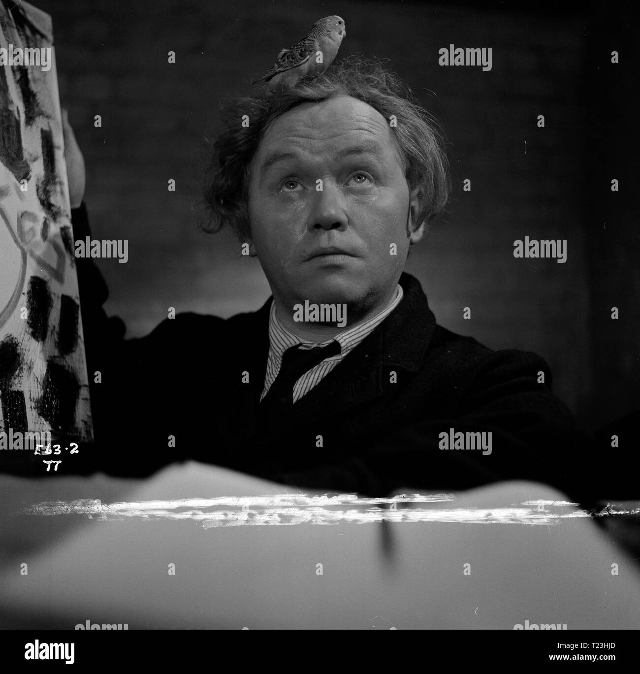 Drake drake drake drake drake Black and White Stock Photos & Images - Alamy