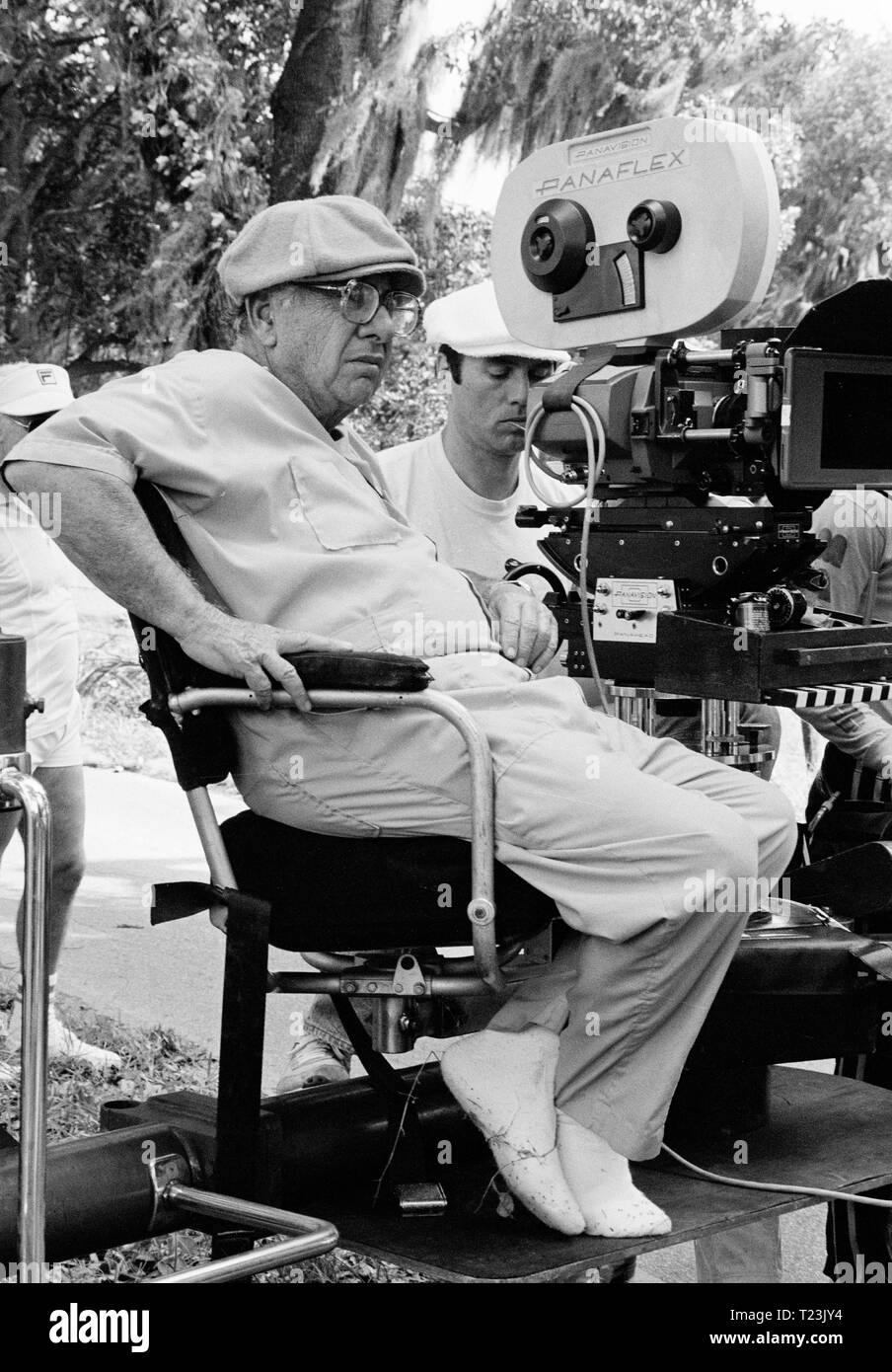 Cross Creek (1983) Film Director Martin Ritt, Date: 1983 Stock Photo ...