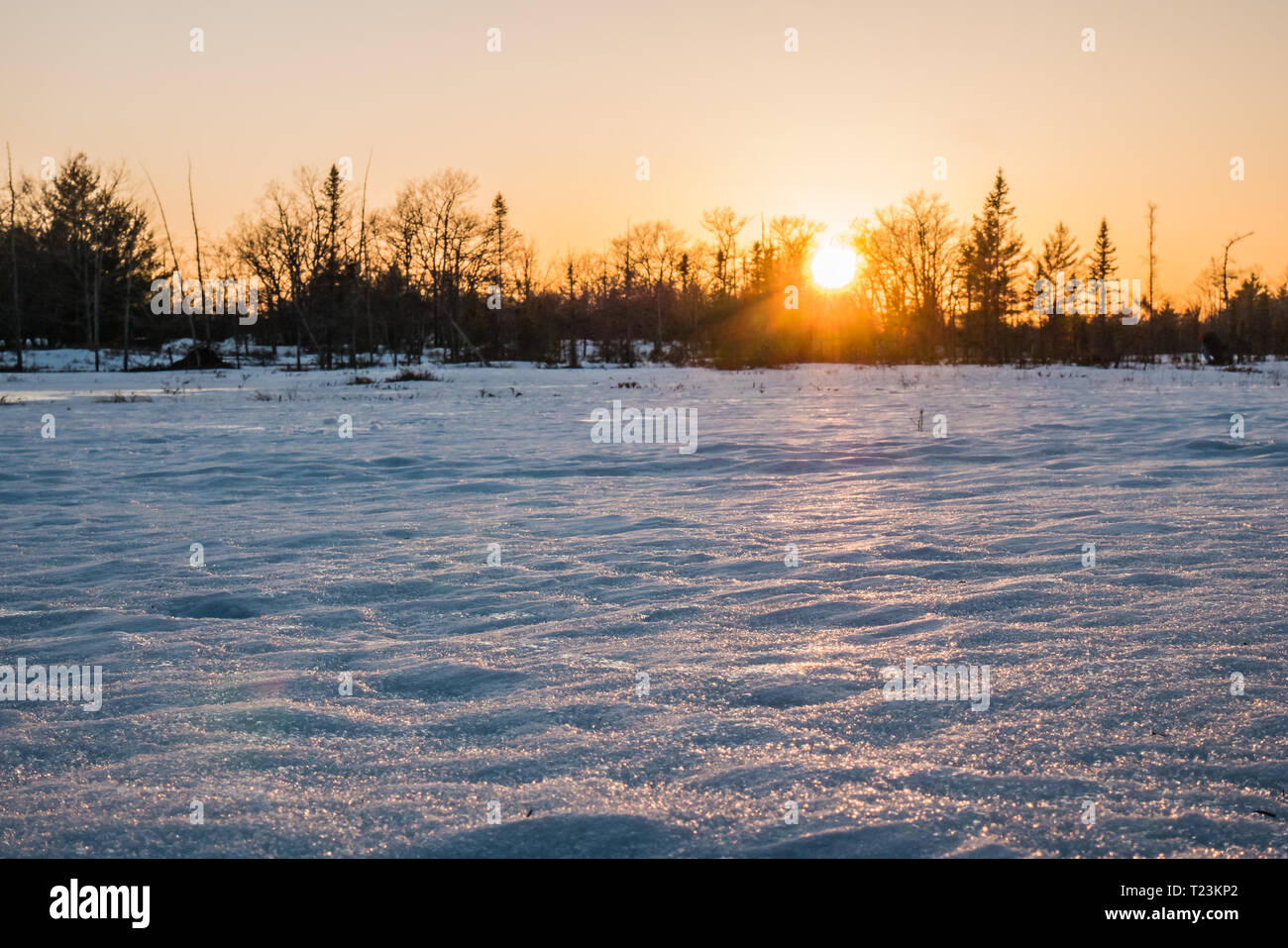 sun setting to the horizon winter snow covered ground Stock Photo - Alamy