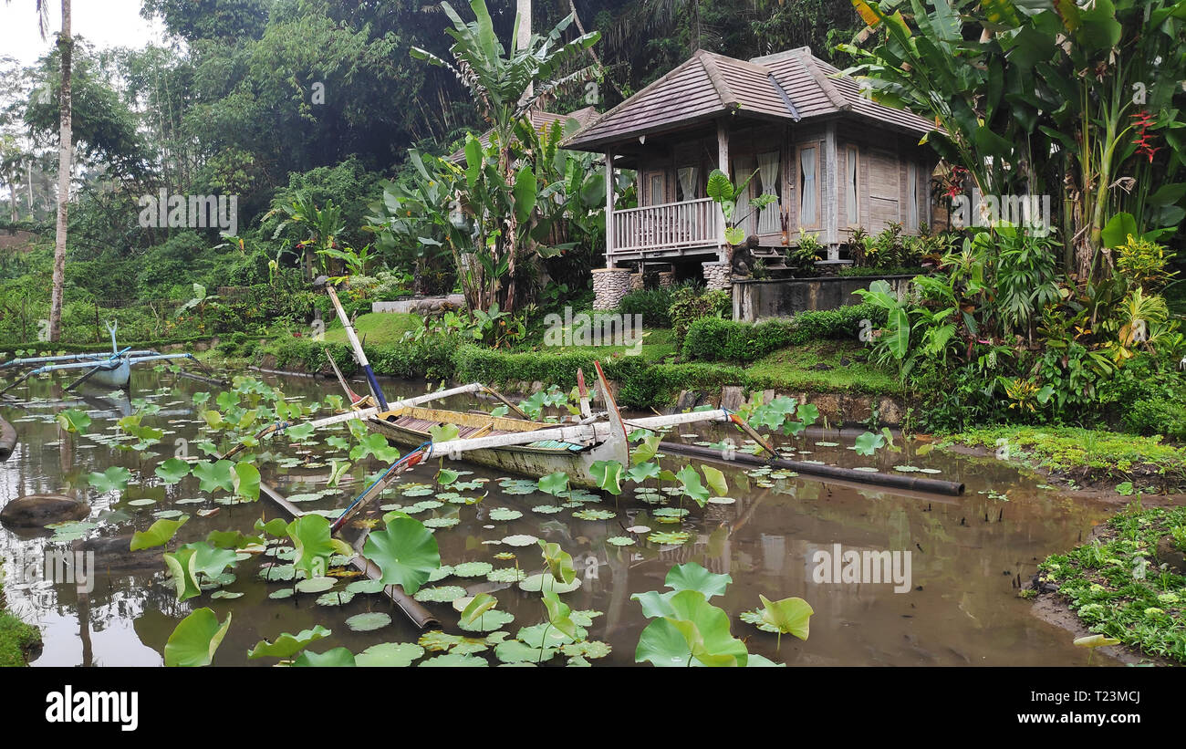 Bali traditional house framed by bamboo trees in Ubud Stock Photo - Alamy