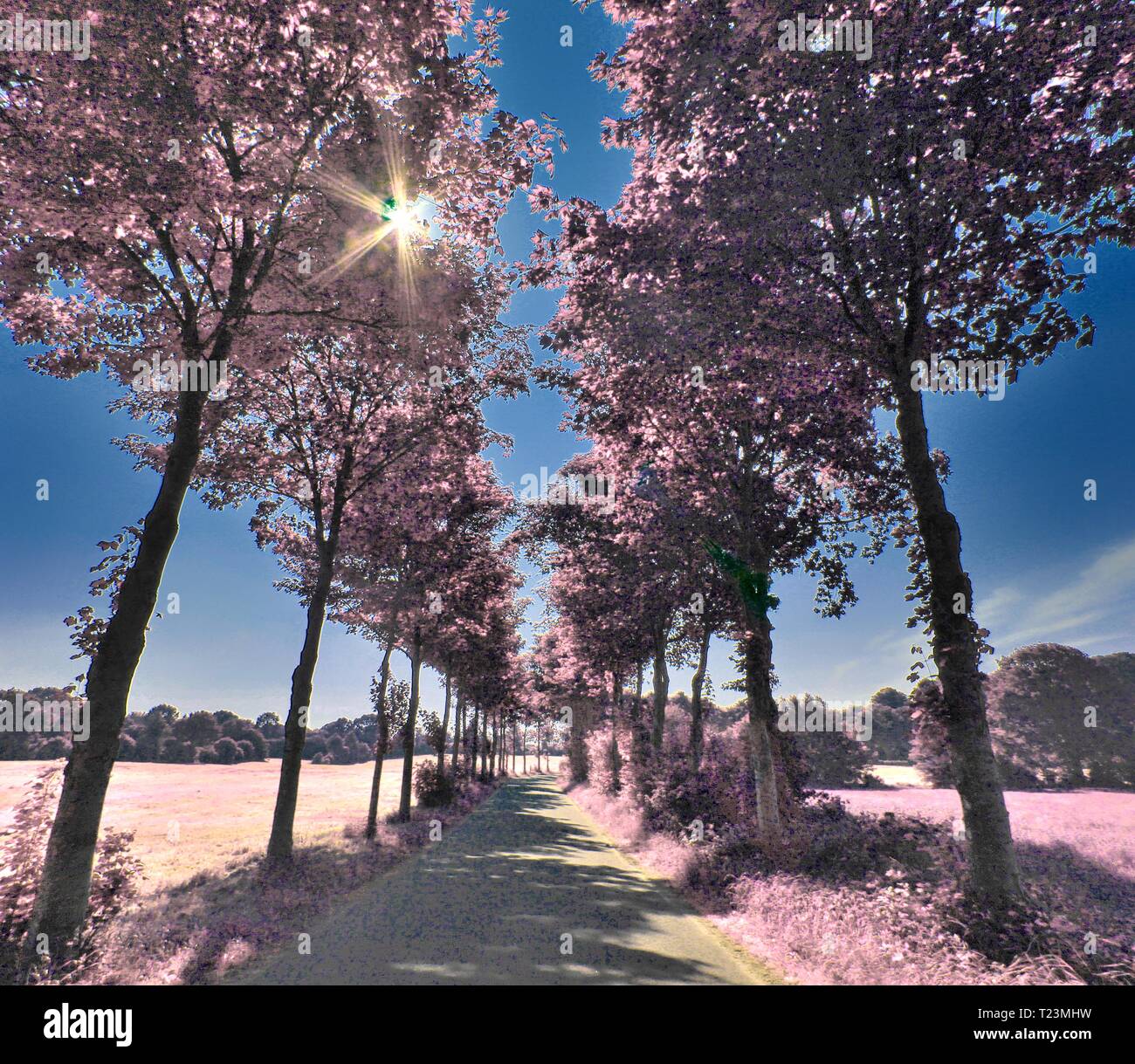Fantaasy infrared shots of beautiful landscapes from Europe Stock Photo ...