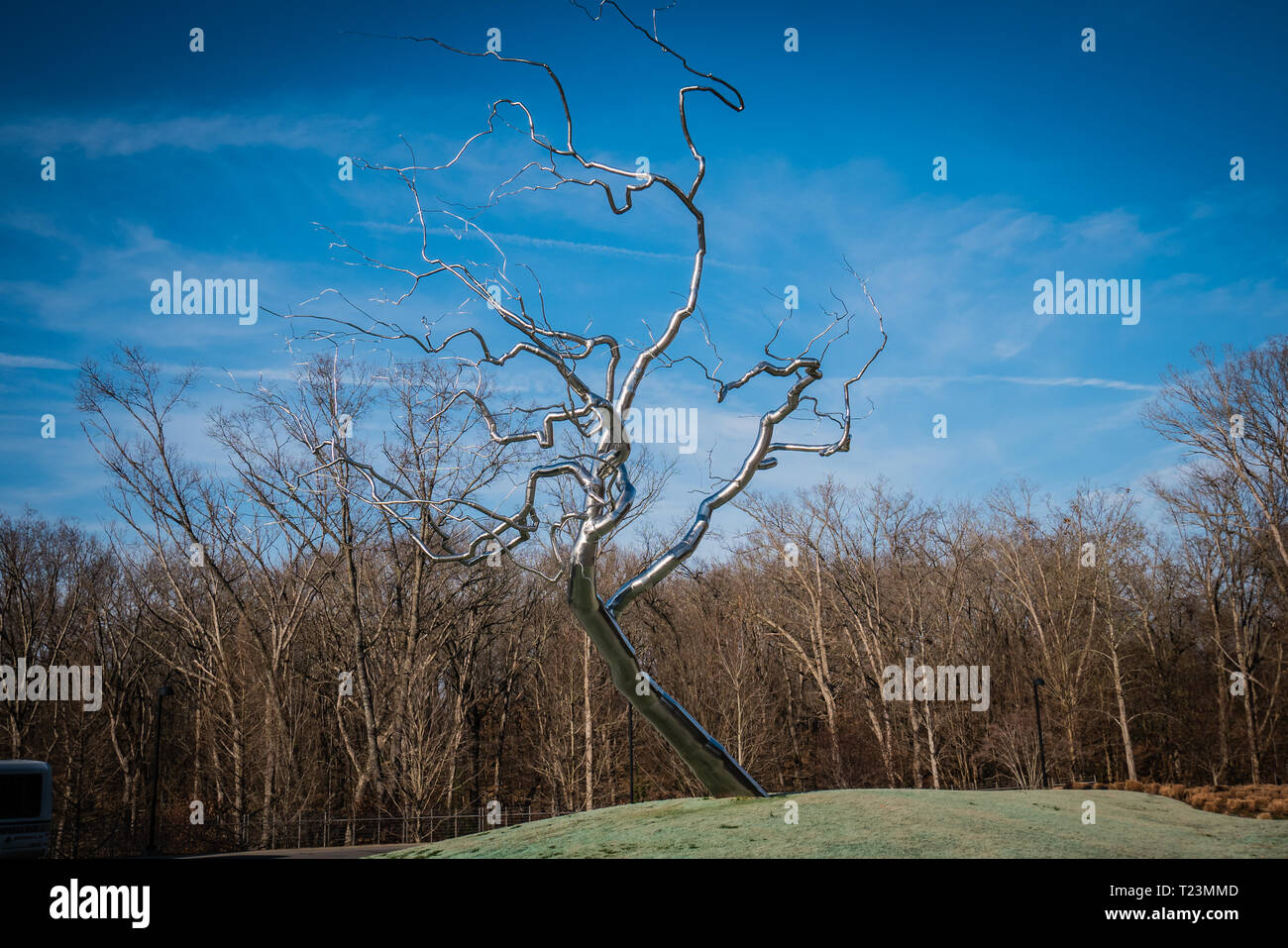 giant silver dead tree sculpture in front of crystal bridge museum in ...