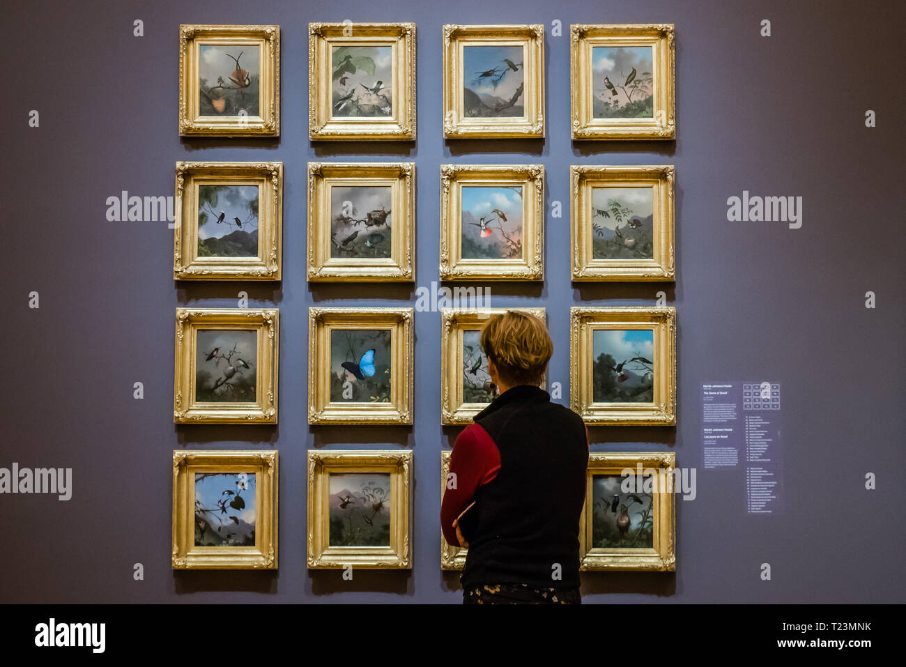 woman looking at paintings inside an art museum Stock Photo - Alamy