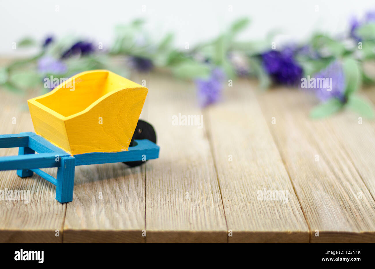 Spring garden still life concept on wooden board with yellow and blue ...