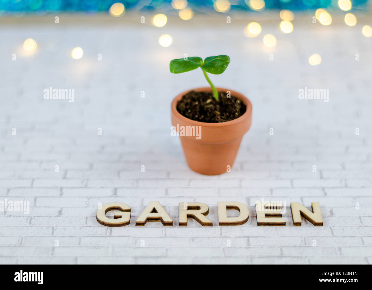 Spring garden still life concept on white bricks and small potted plant ...