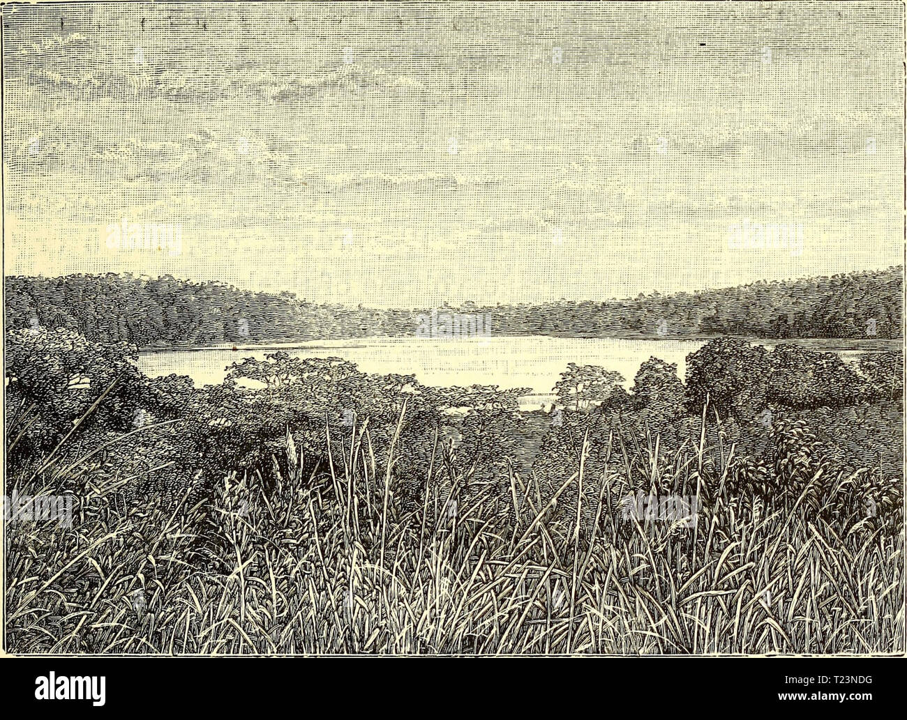 Equatorial setting hi-res stock photography and images - Alamy