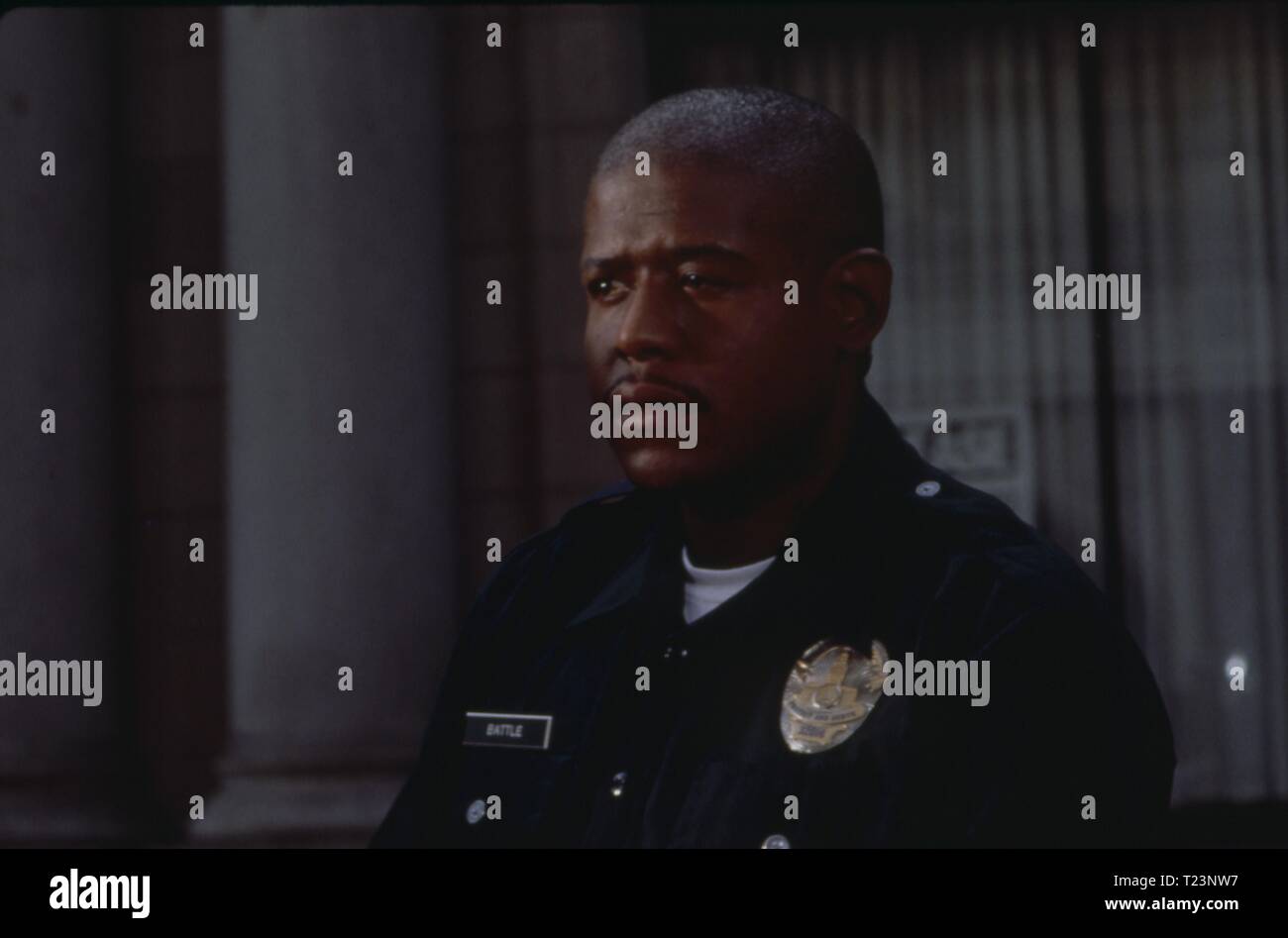 Whitaker forest hi-res stock photography and images - Alamy