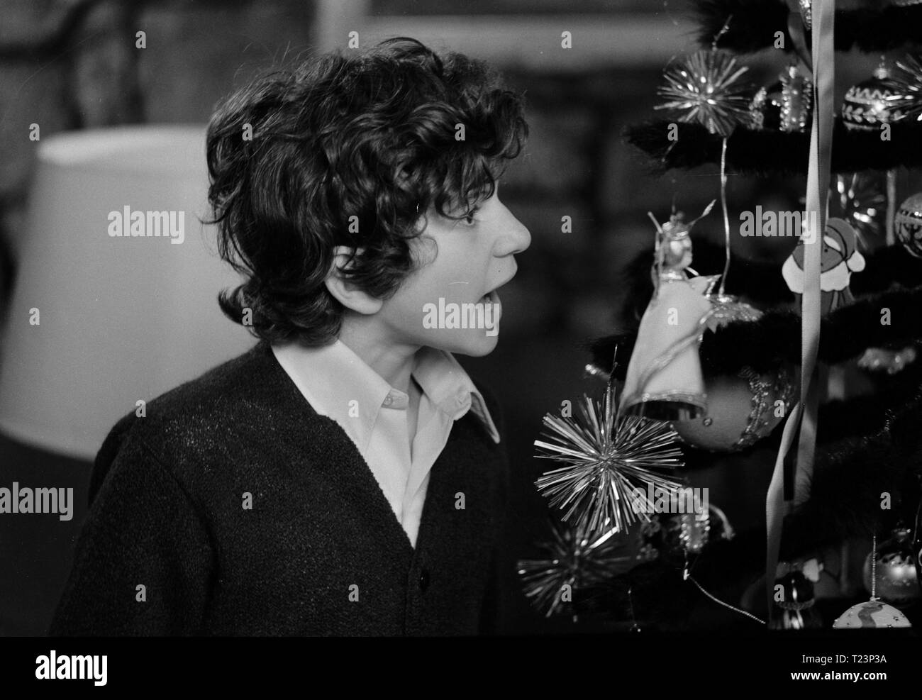 Baxter (1973) Scott Jacoby, Date: 1973 Stock Photo - Alamy