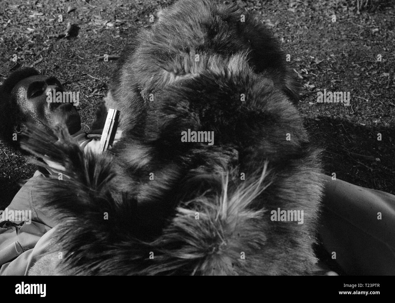 The Beast Must Die (1974) Calvin Lockhart, Date: 1974 Stock Photo - Alamy