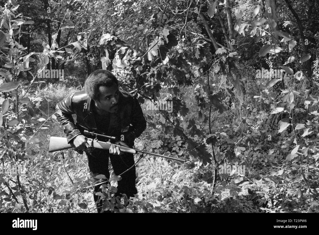 The Beast Must Die (1974) Calvin Lockhart, Date: 1974 Stock Photo - Alamy