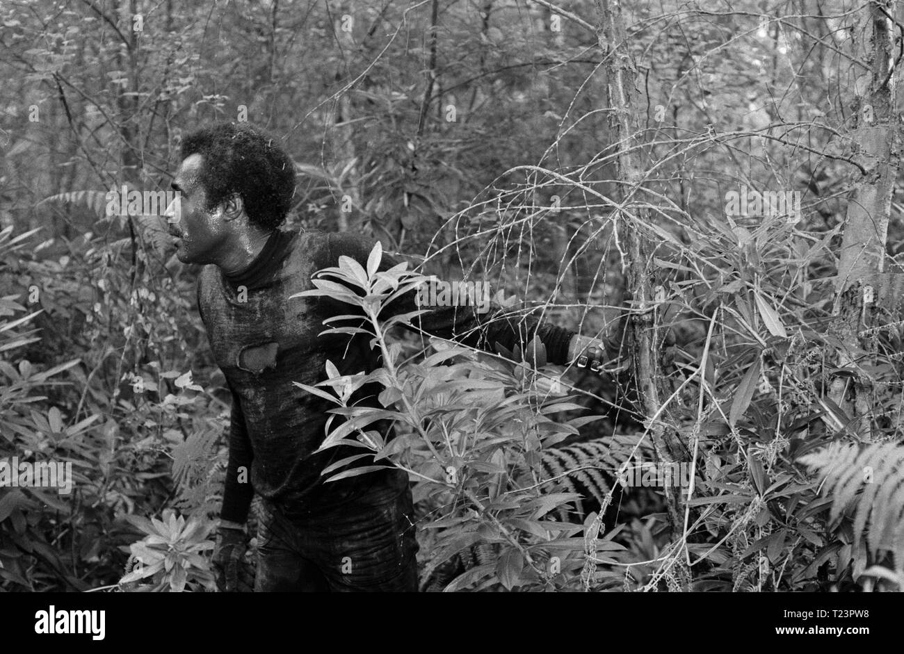 Lockhart hi-res stock photography and images - Alamy