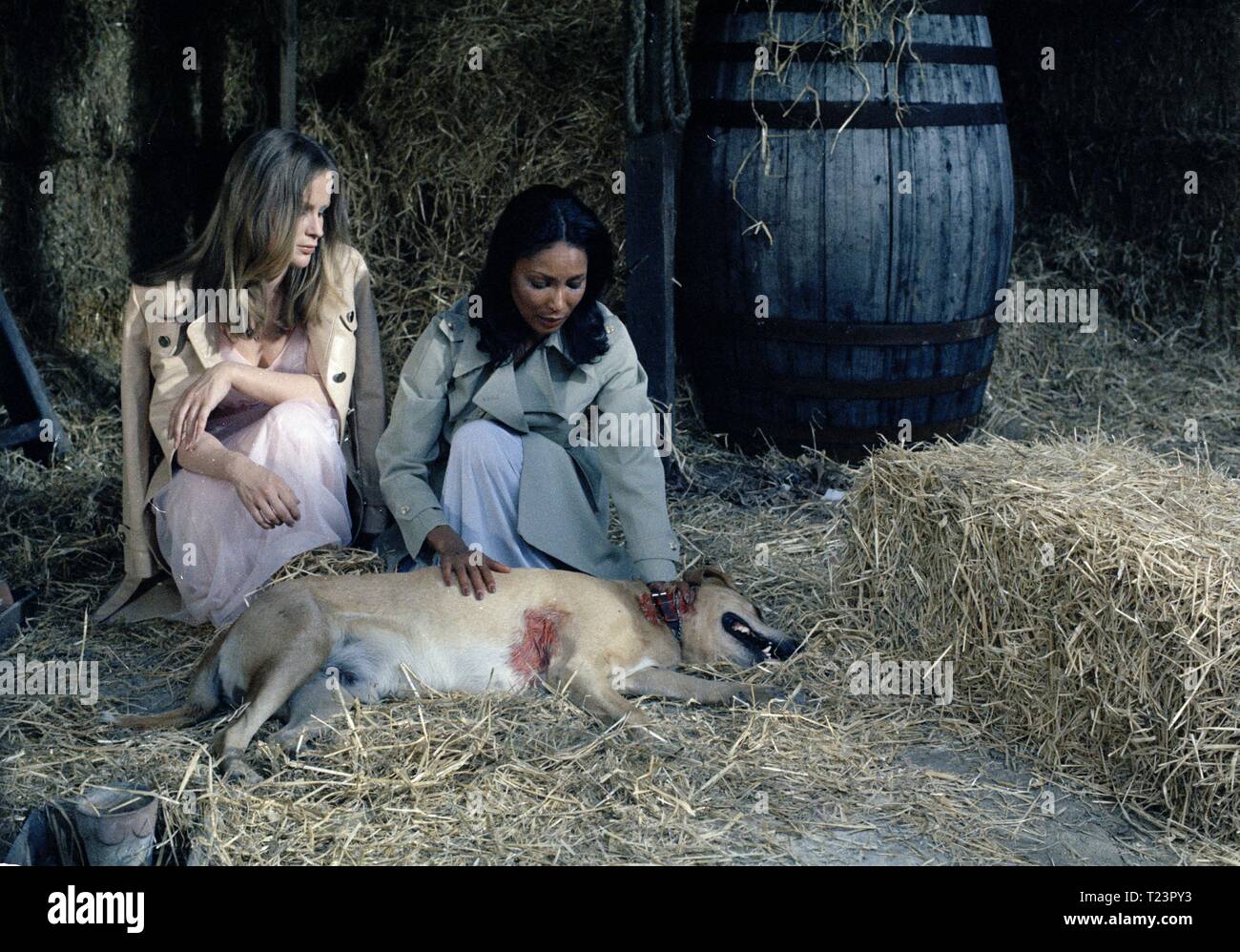 The Beast Must Die (1974) Marlene Clark, Ciaran Madden, Date: 1974 ...