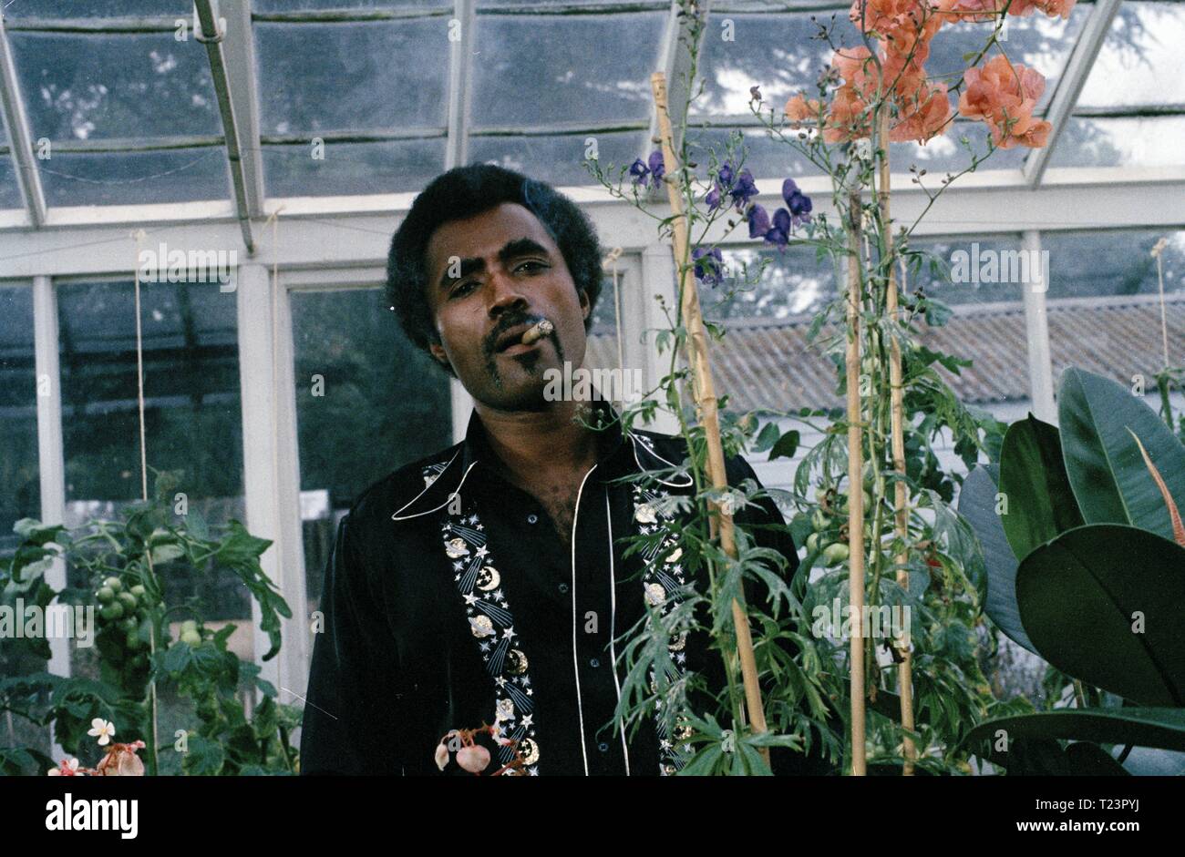 The Beast Must Die (1974) Calvin Lockhart, Date: 1974 Stock Photo - Alamy