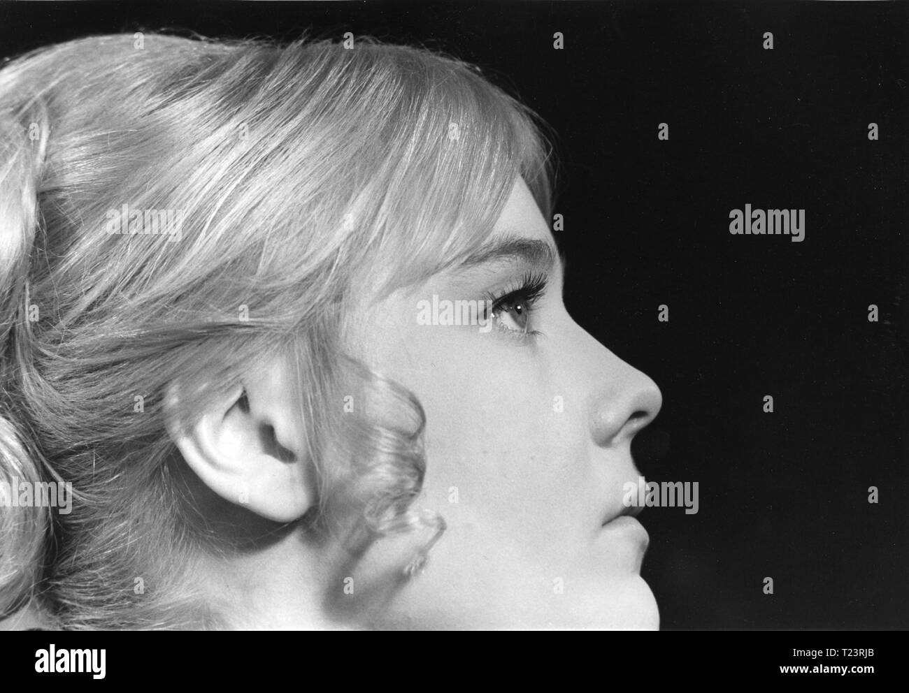 Natasha pyne hi-res stock photography and images - Alamy