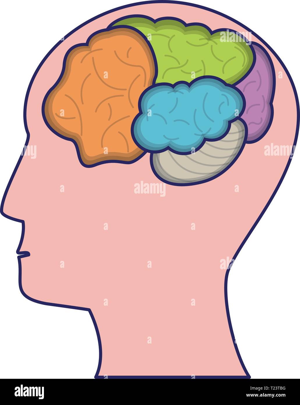 Head with brain symbol isolated Stock Vector Image & Art - Alamy