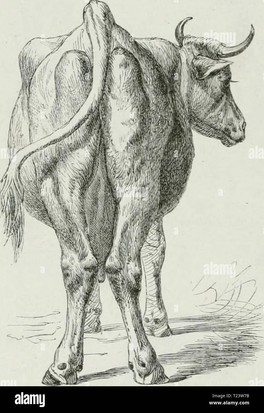 Parallelepipedon High Resolution Stock Photography and Images - Alamy