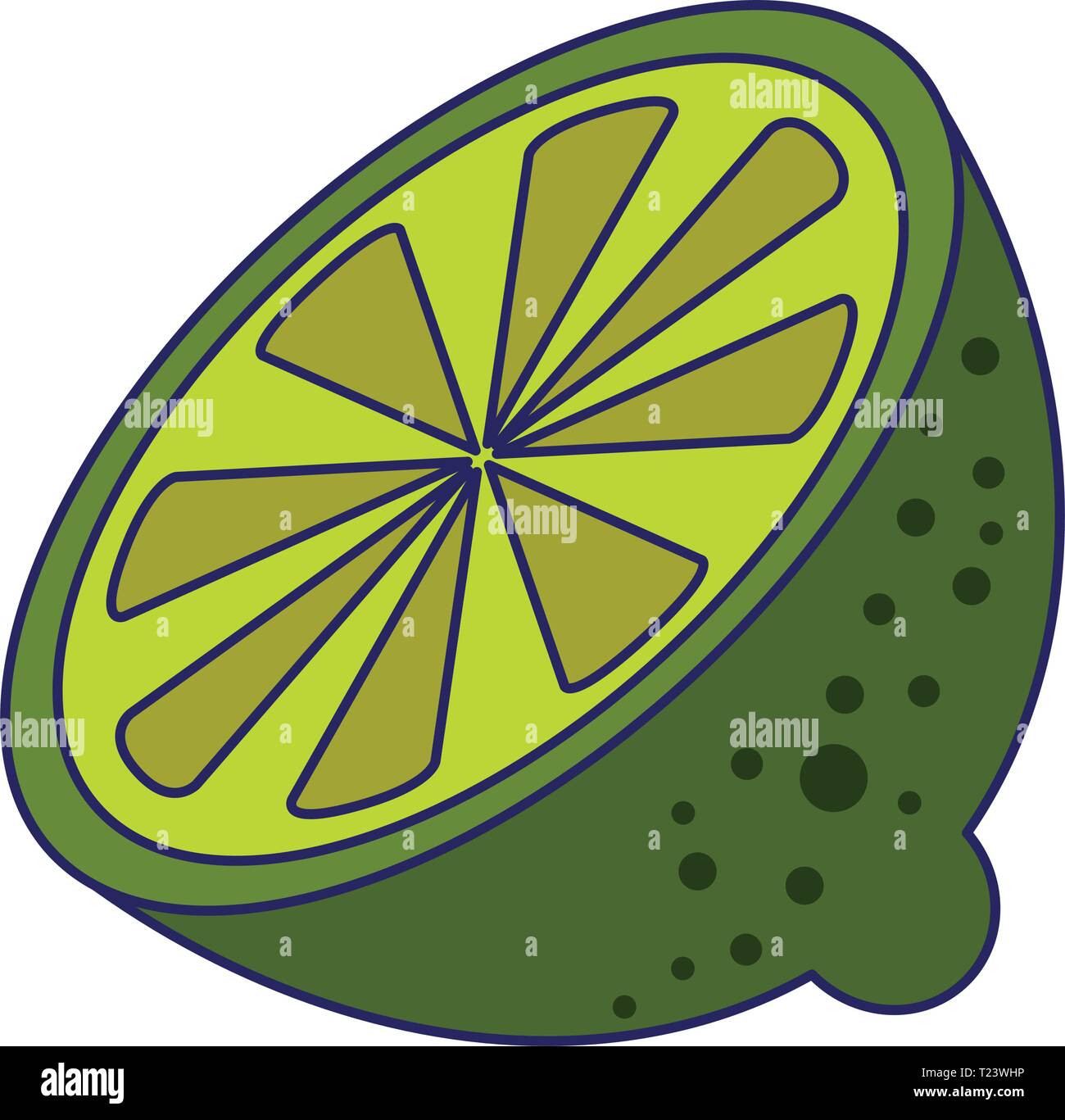 Lemon citric fruit isolated Stock Vector Image & Art - Alamy