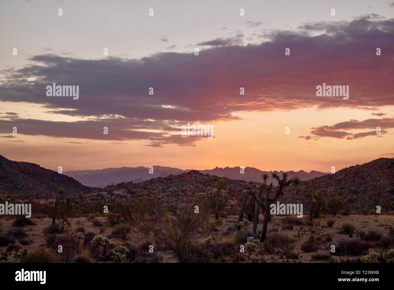 Desert sunrise and sunset Stock Photo - Alamy