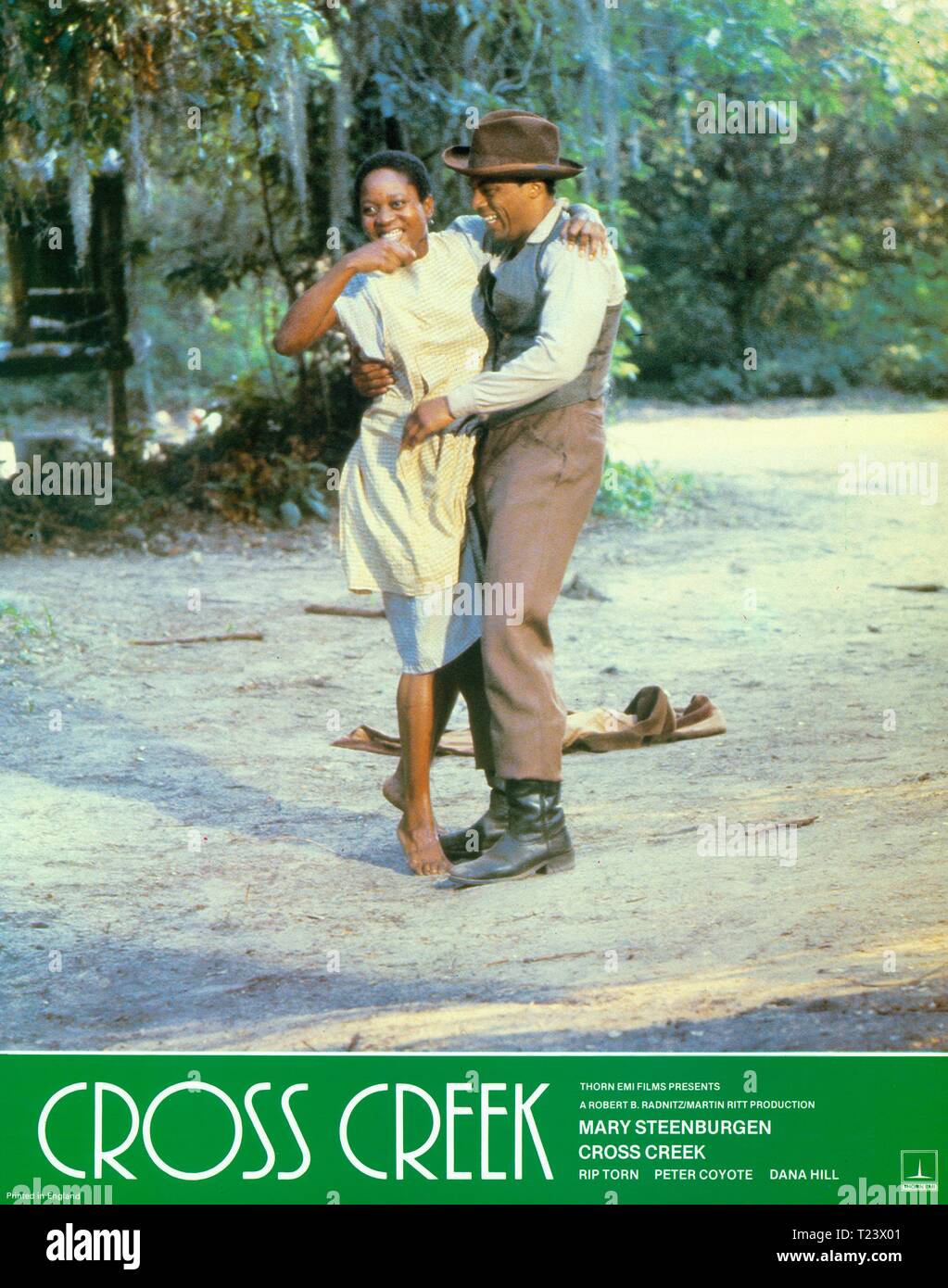 Cross Creek (1983) Alfre Woodard, Bo Rucker, Date: 1983 Stock Photo - Alamy
