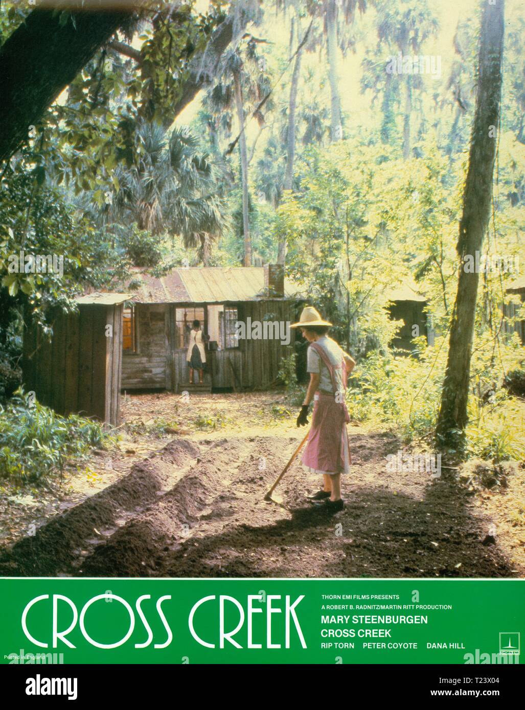 Cross Creek (1983) Mary Steenburgen, Date: 1983 Stock Photo - Alamy