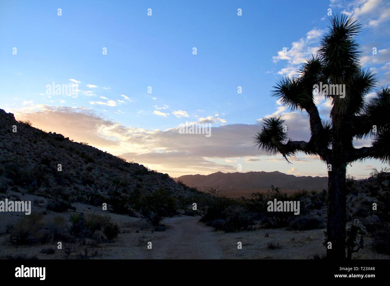 Desert sunrise and sunset Stock Photo - Alamy