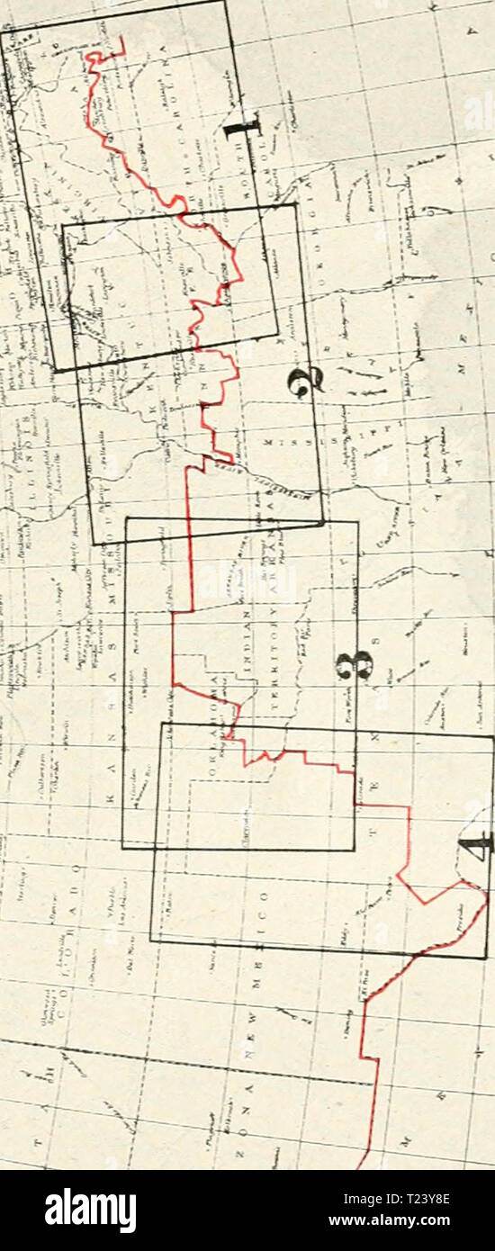 Archive image from page 376 of The pathology and differential diagnosis ...