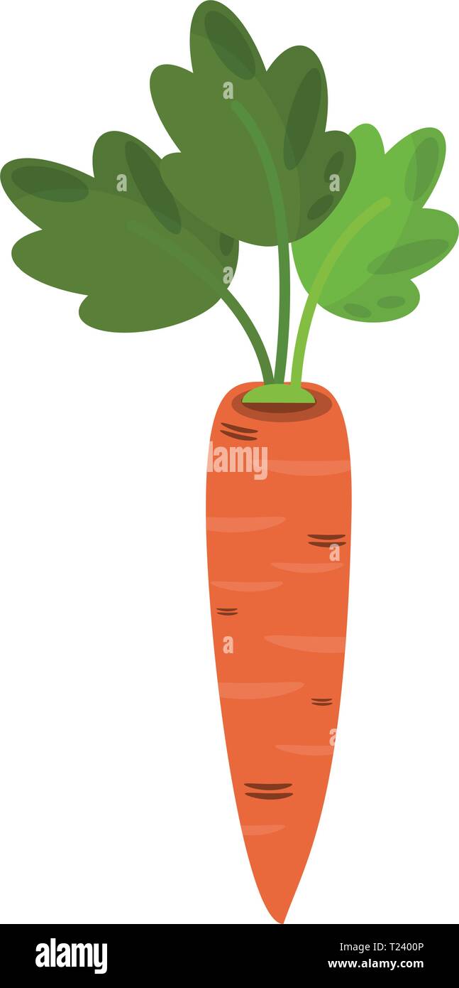 Carrot fresh vegetable food Stock Vector Image & Art - Alamy