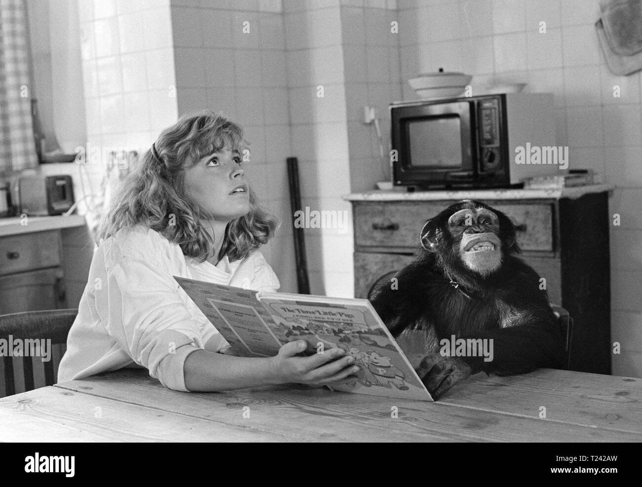 Link (1986) Elisabeth Shue, Jed the Chimpanzee, Date: 1986 Stock Photo ...