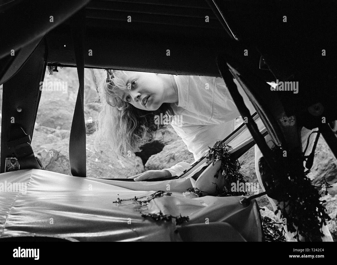 Link (1986) Elisabeth Shue, Date: 1986 Stock Photo - Alamy