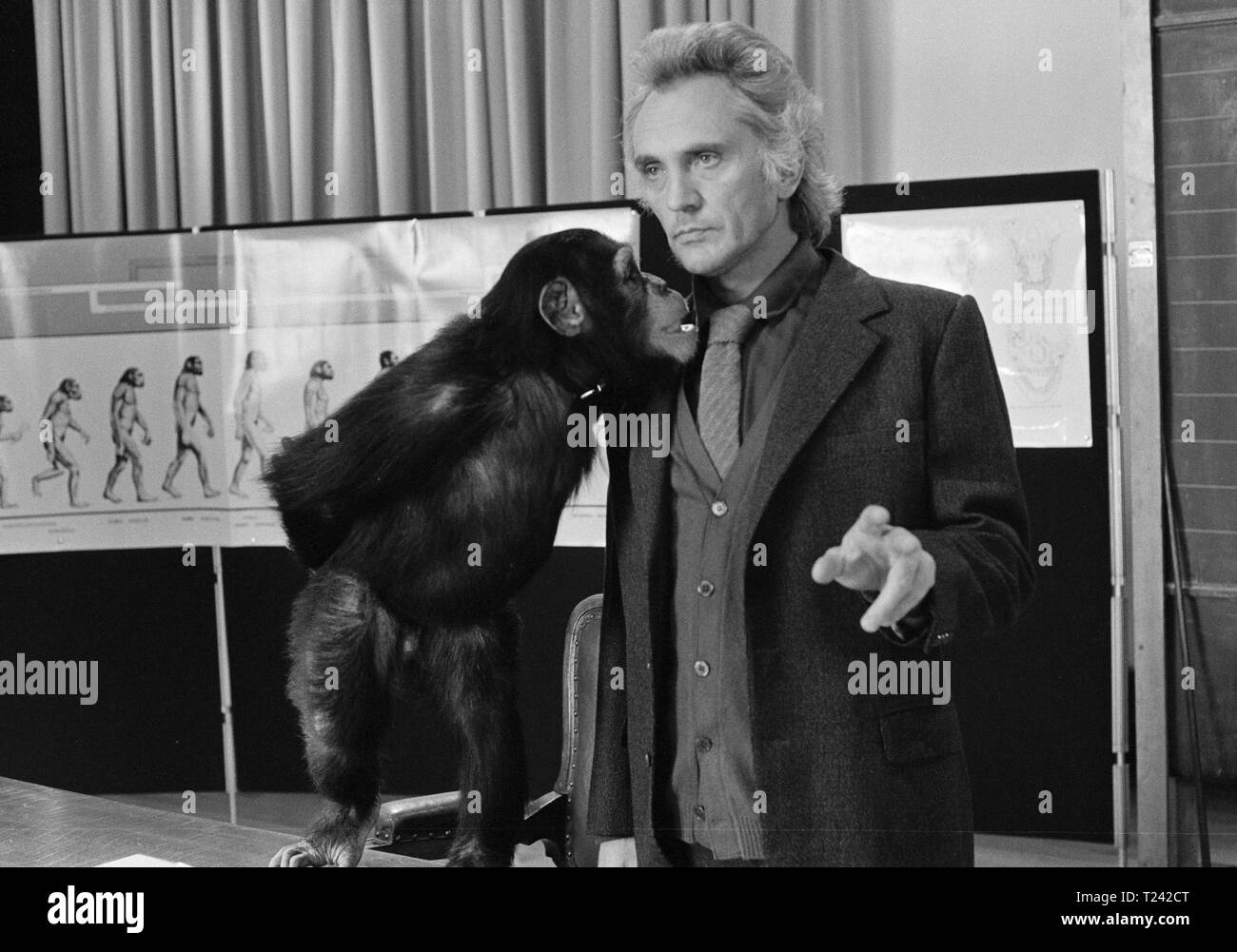 Chimpanzee films hi-res stock photography and images - Alamy